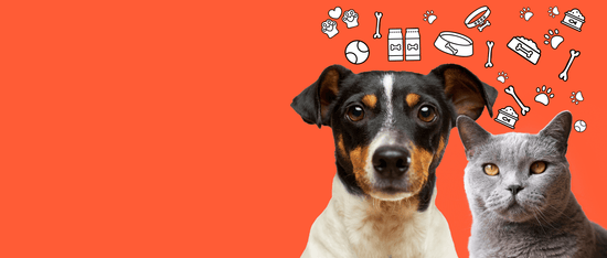 Dashing Pets | Online Pet Shop in Cape Town for Unique Pet Products