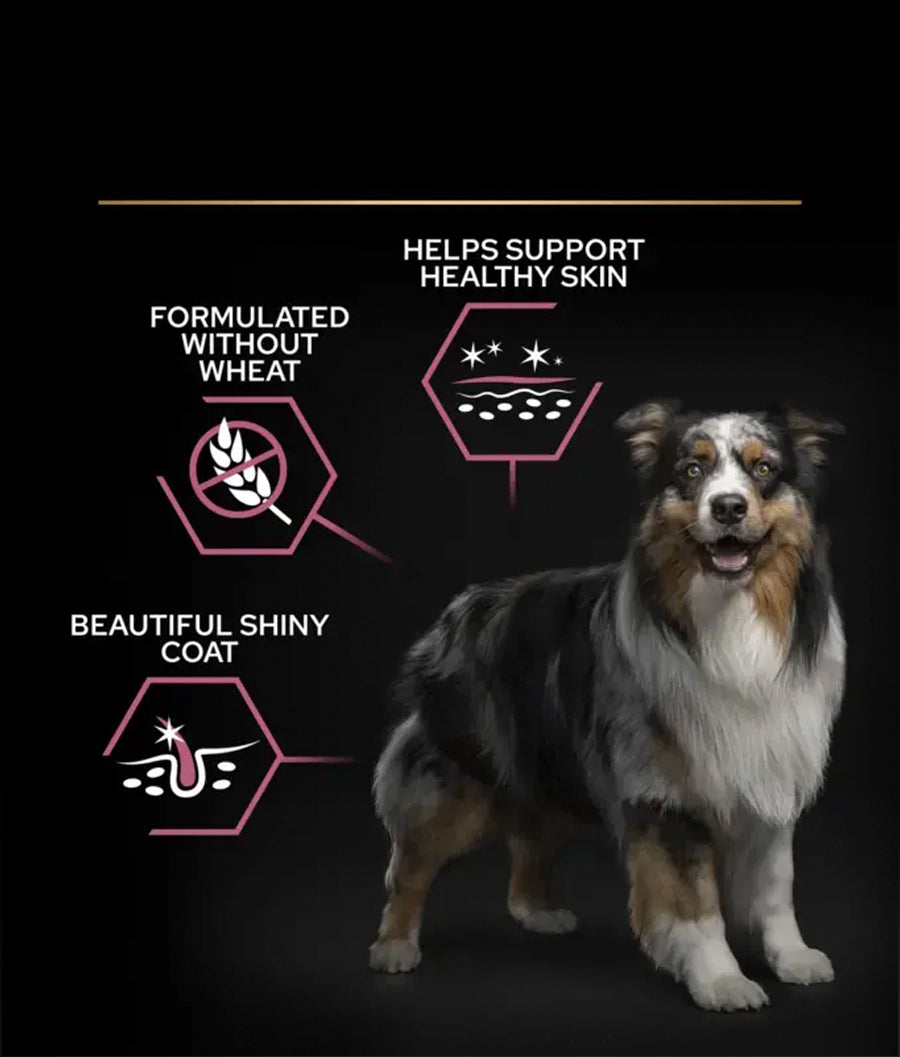 PRO PLAN® Medium and Large Adult 7+ Sensitive Skin Salmon Dry Dog Food – Dashing Pets